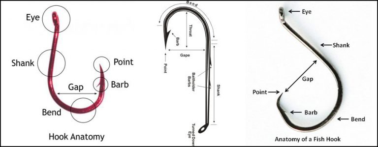 Bait, Hook, and Catch: The Essential Guide to Fishing Hooks 2024