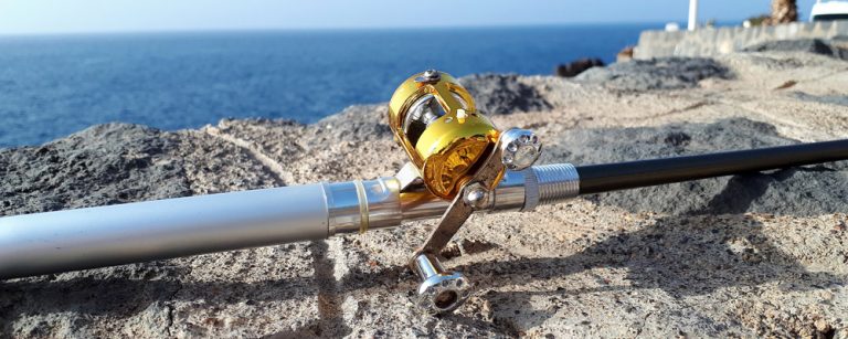 Miniature Marvels: Ultimate Guide to Micro Fishing Rods and Reels