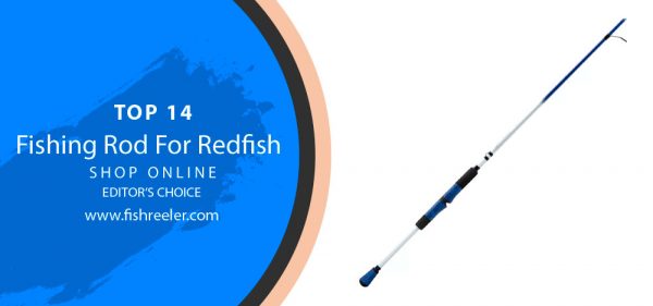 Fishing Rod for Redfish: Catch the Big Reds 2023