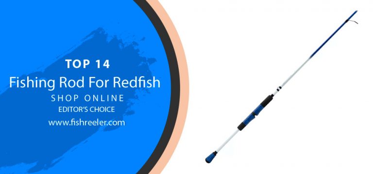 Fishing Rod for Redfish: Catch the Big Reds 2023