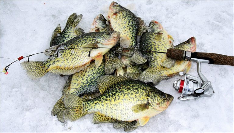 Get Hooked: The Ultimate Guide to Crappie Ice Fishing Lures!