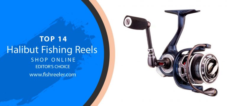 TOP 14 Halibut Fishing Reels: Buying Guide & Reviews 2025