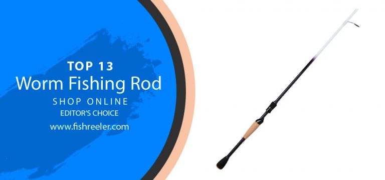 Choosing the Right Worm Fishing Rod: Tips and Tricks: Guide 2023